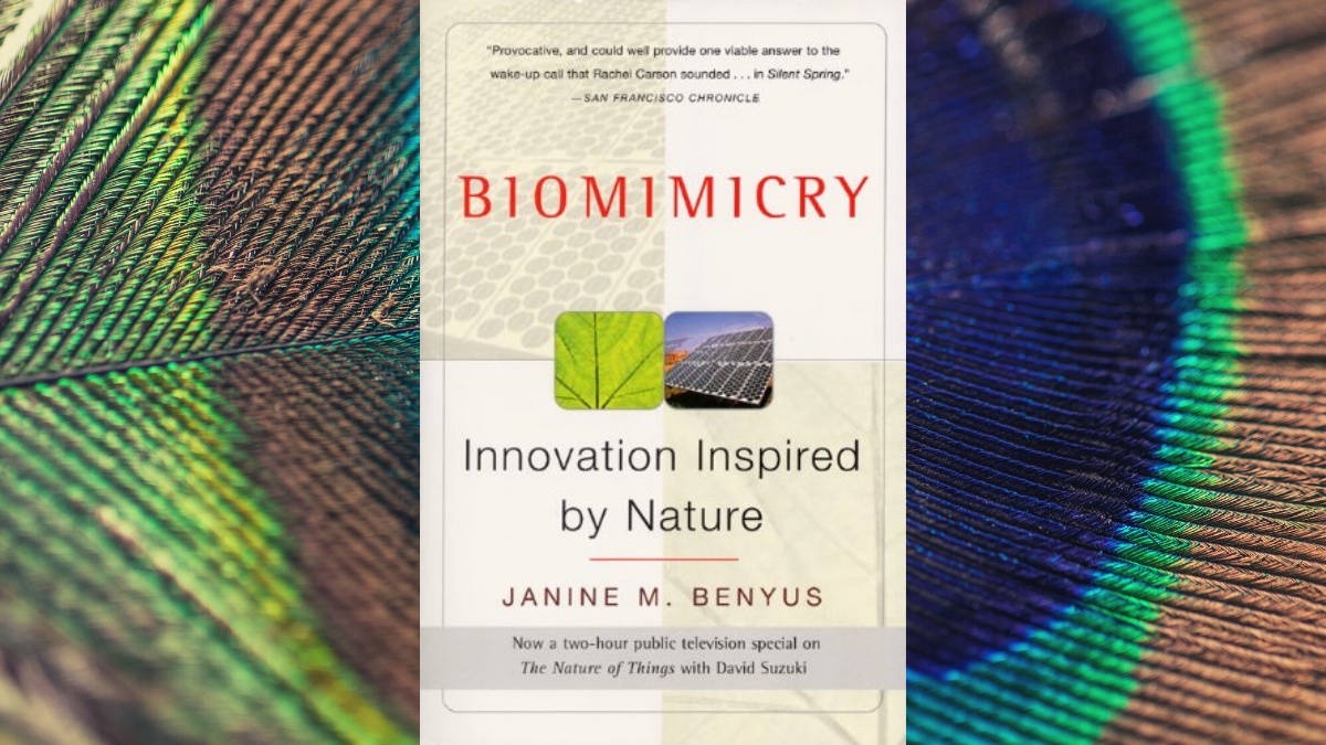 Appreciating Nature’s Brilliant Designs – Sustainably Motivated