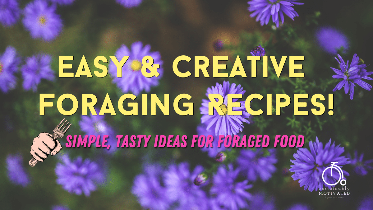 Easy & Creative Foraging Recipes! – Sustainably Motivated