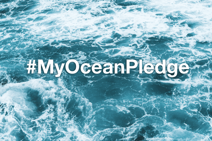 Japan Can Become An Ocean Champion – Sustainably Motivated