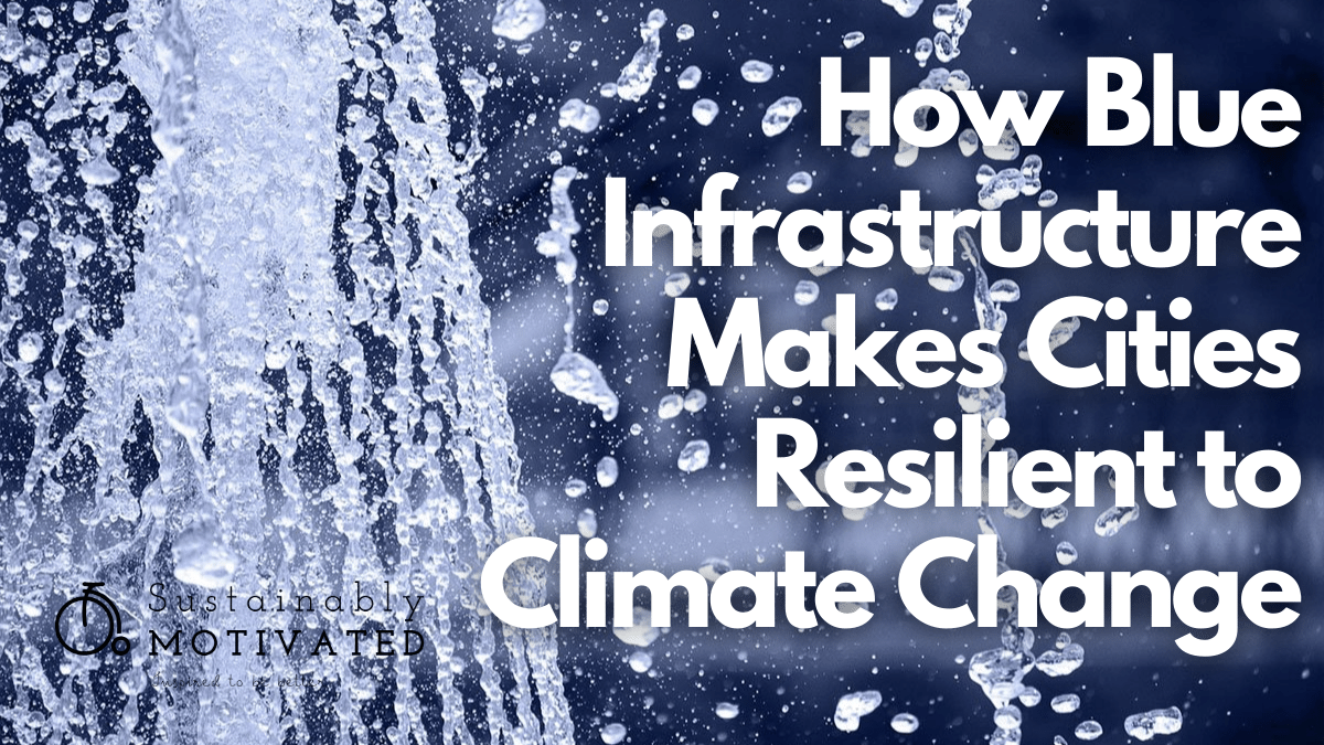 How Blue Infrastructure Makes Cities Resilient To Climate Change ...