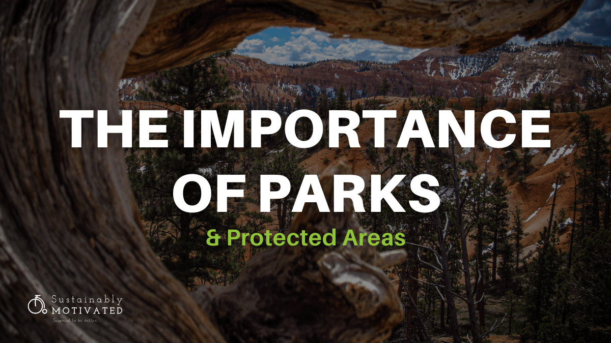The Importance Of Parks & Protected Areas – Sustainably Motivated
