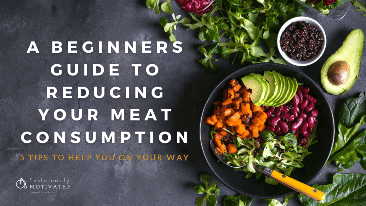 A Beginners Guide To Reducing Your Meat Consumption – Sustainably Motivated