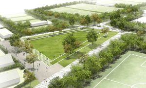 Why Landscape Connectivity Matters – Sustainably Motivated
