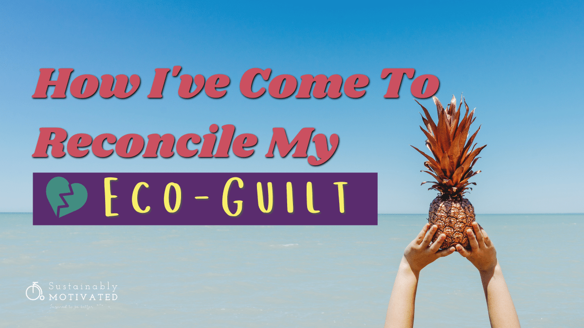 How I’ve Come To Reconcile My Eco-Guilt – Sustainably Motivated