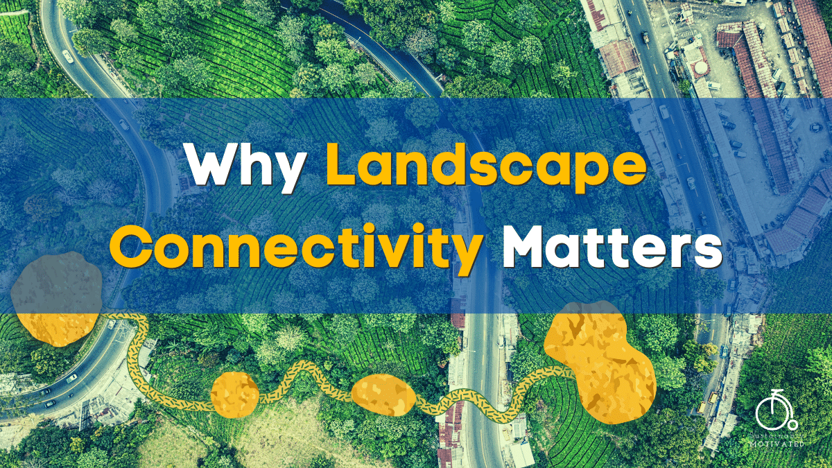 Why Landscape Connectivity Matters – Sustainably Motivated