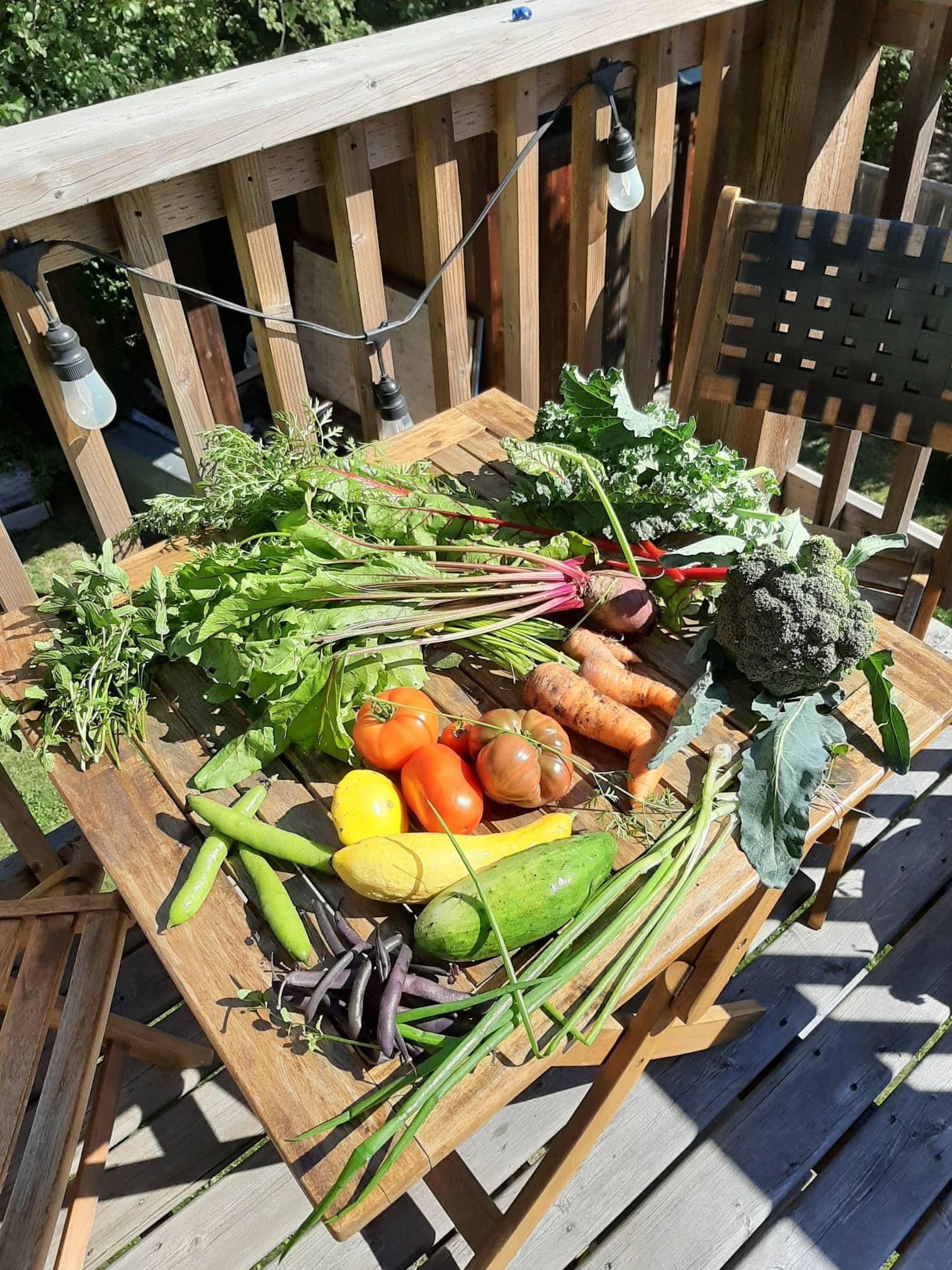 How We Grew Our Own Food Through Cooperative Agriculture – Sustainably ...