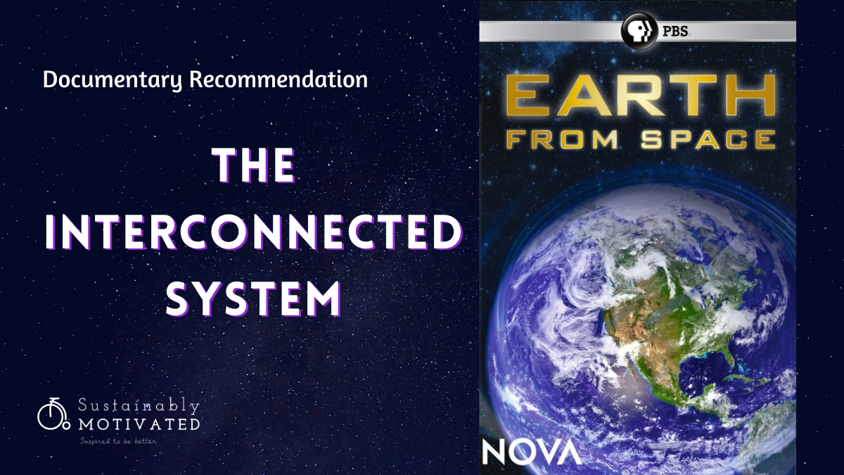 The Interconnected System – Sustainably Motivated