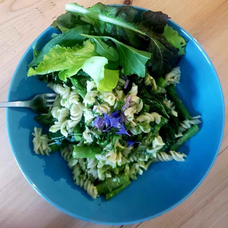 How We Grew Our Own Food Through Cooperative Agriculture – Sustainably ...