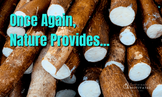 The Bag Of The Future – Sustainably Motivated