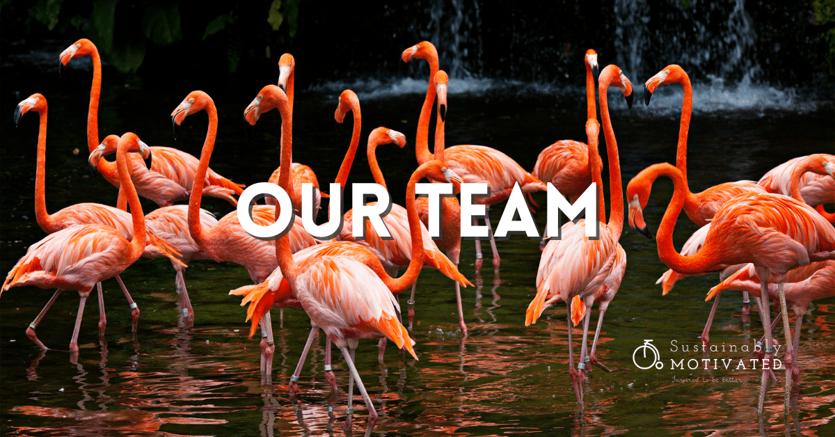 Our Team – Sustainably Motivated